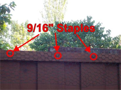 ( click picture for high-res version).